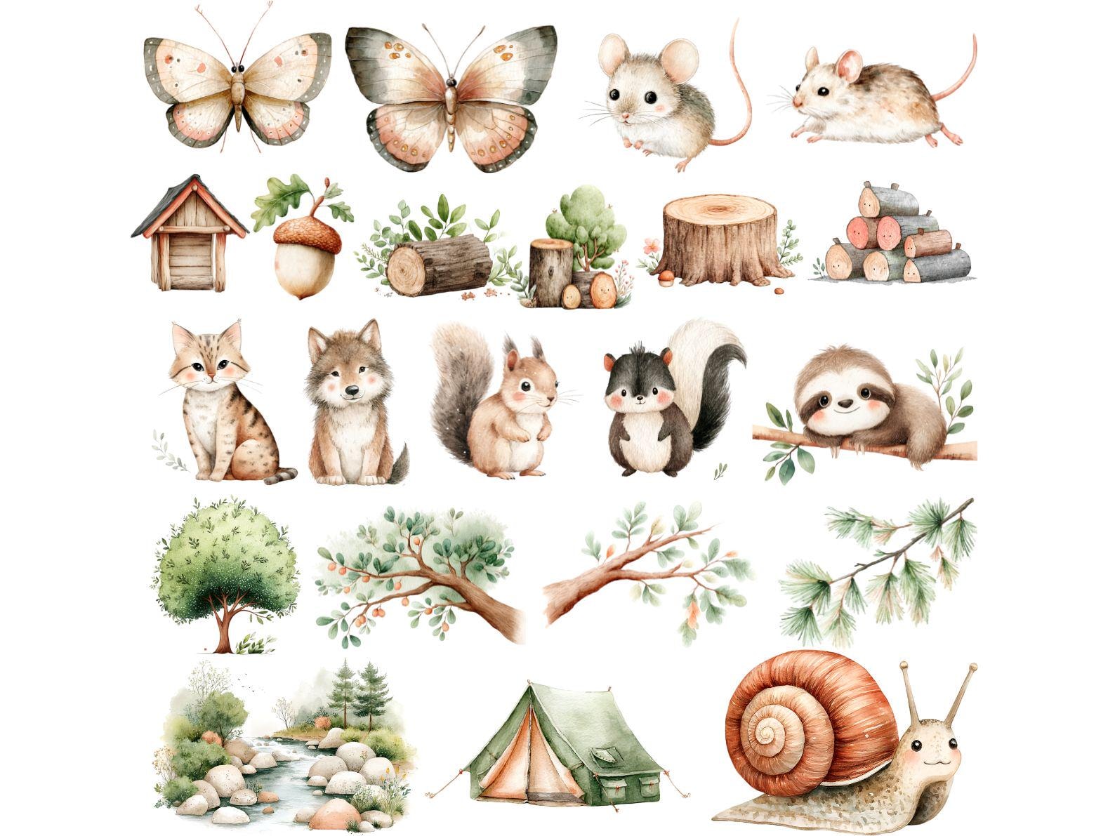66 Woodland Animals Clipart | Watercolor Forest Friends PNG, Deer Fox ...