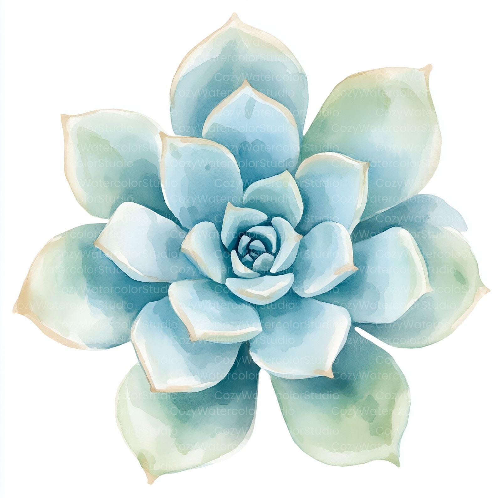 Succulent Watercolor Clipart - Green Plant Art, Cactus Botanical ...