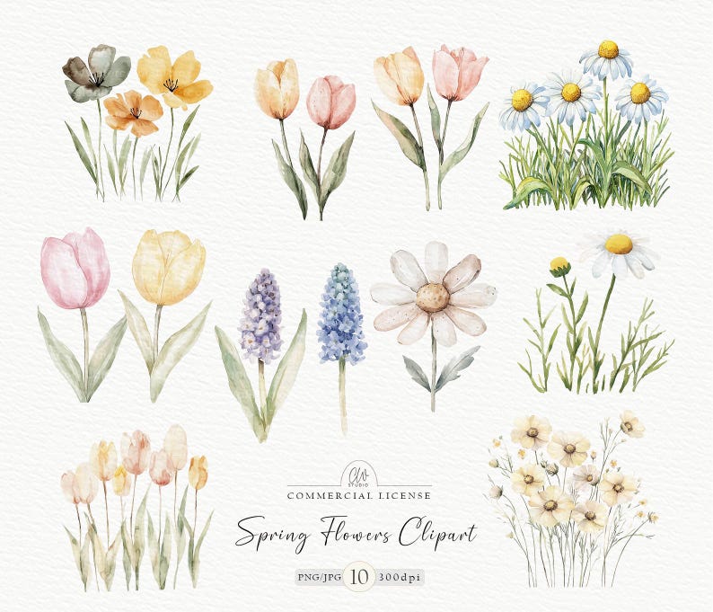 Watercolor Spring Flowers Clipart | 10 PNG & JPG Floral Illustrations ...