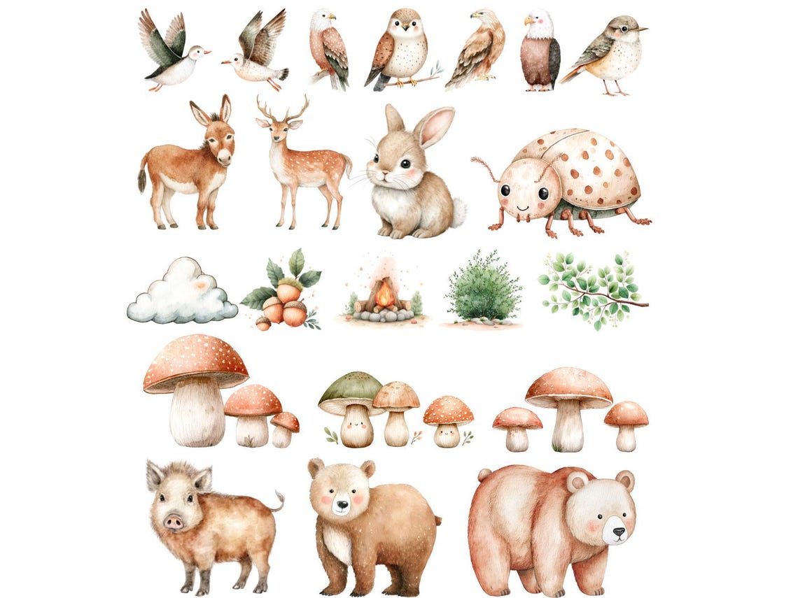 66 Woodland Animals Clipart | Watercolor Forest Friends PNG, Deer Fox ...