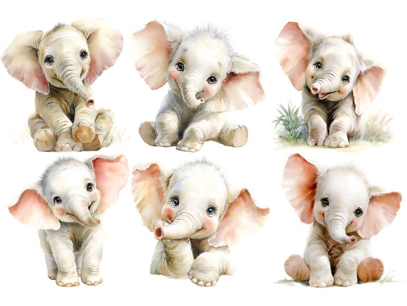 Watercolor Baby Elephant Clipart: Jungle Animals PNG (digital Download ...