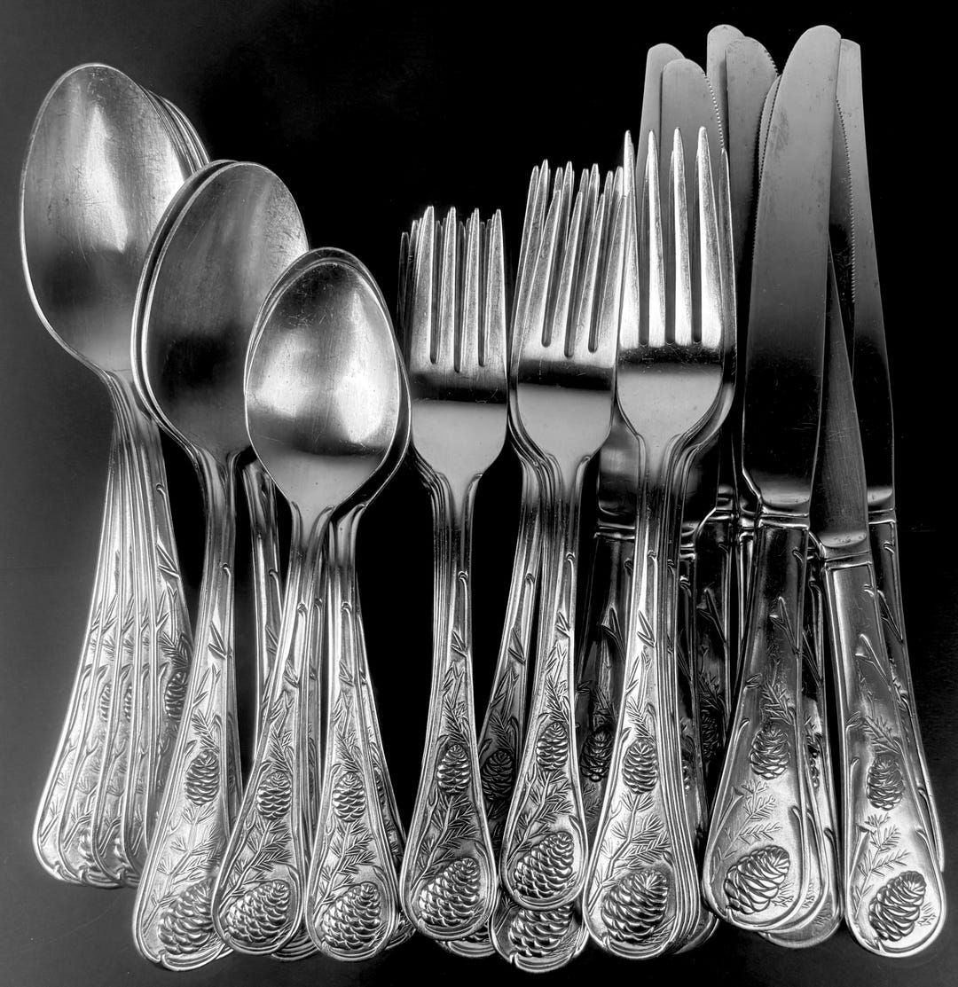 40 Pc Set - Cambridge Pinecone - Stainless Flatware - 8 X 5 Piece Place ...