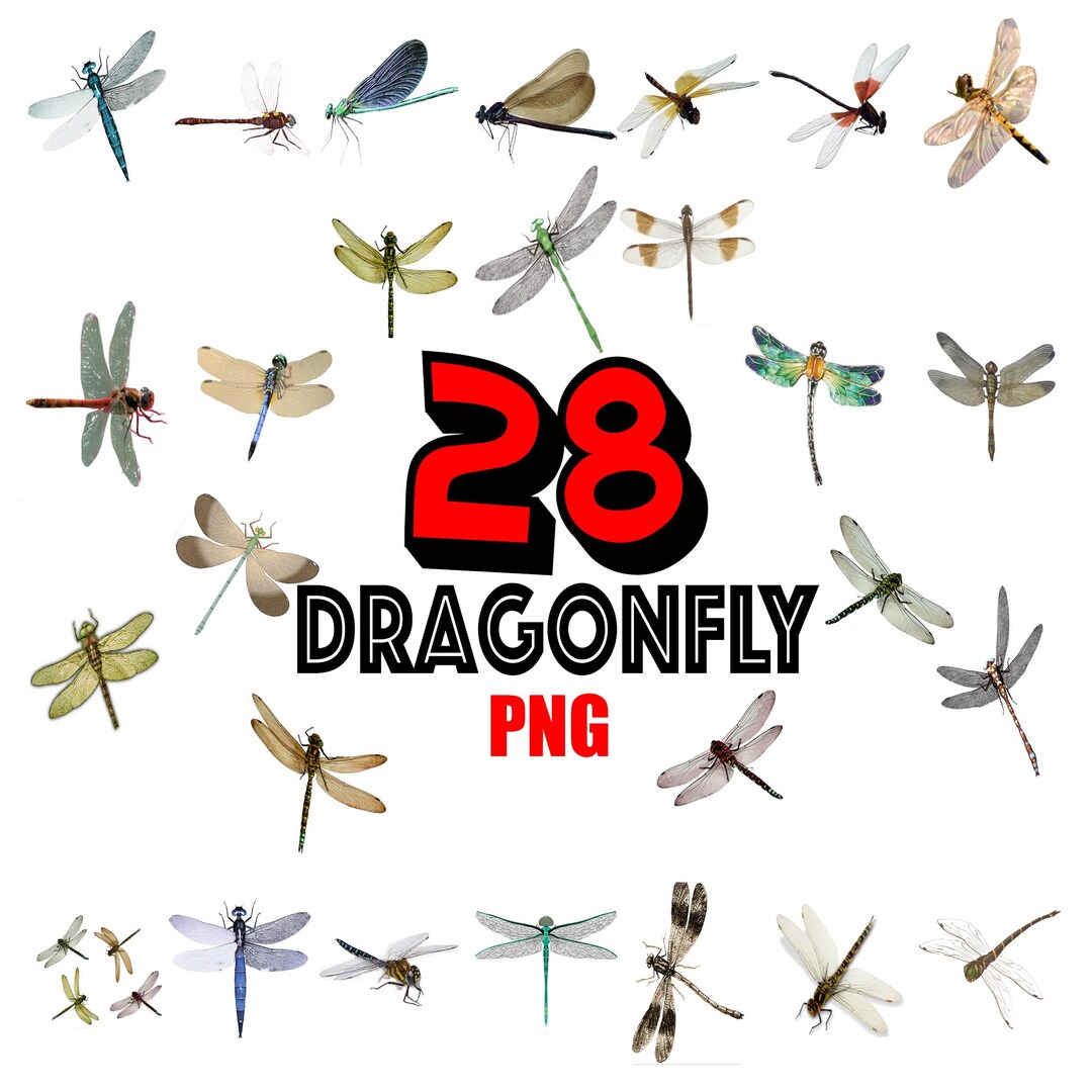 Dragonfly PNG Bundle - Digital Files for Crafts & DIY Projects - Digital Download - Insect ...