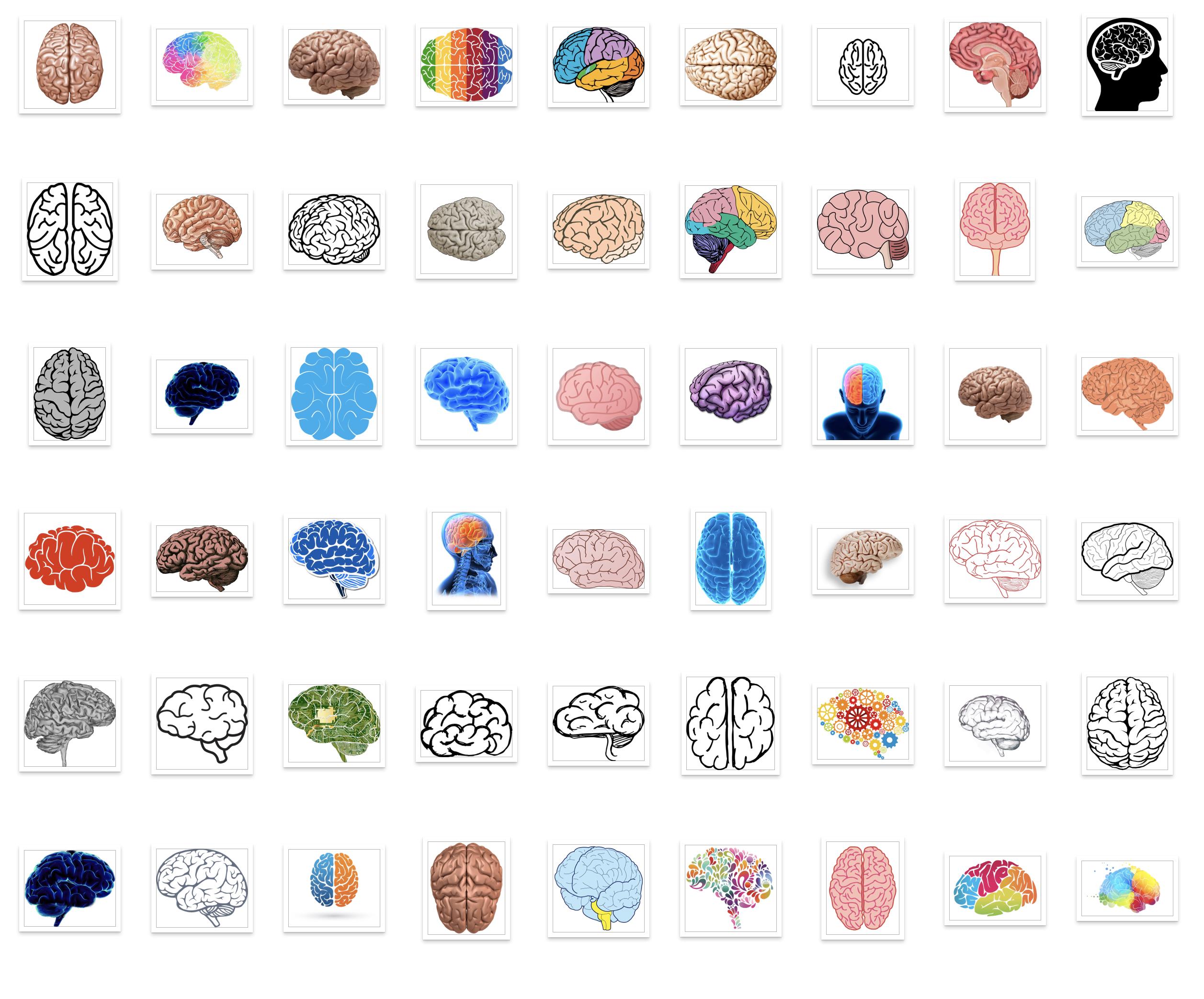 Brain PNG Bundle - Digital Files for Crafts & DIY Projects - Digital ...