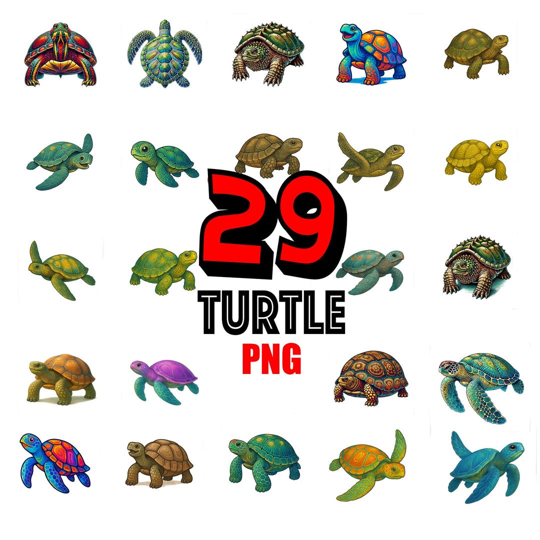 29 Turtle PNG Bundle – Sea Turtles & Tortoises Instant Download, Crafts ...