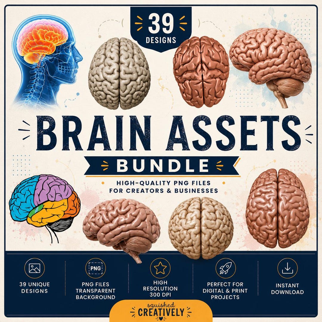 Mind Matter Brain PNG Bundle, Medical Anatomy Illustrations Clipart ...