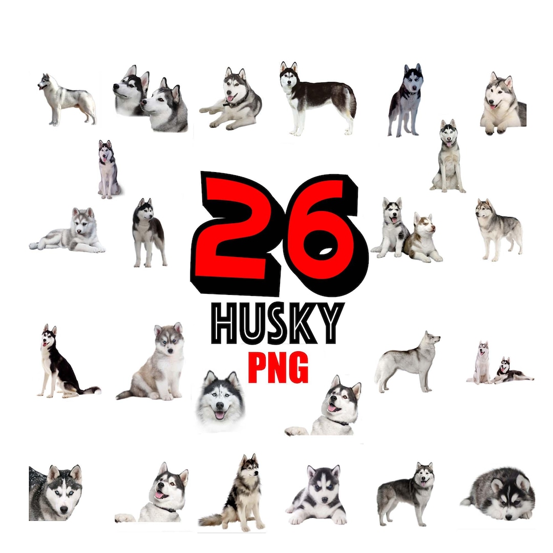 Husky PNG Bundle - Digital Files for Crafts & DIY Projects - Digital ...
