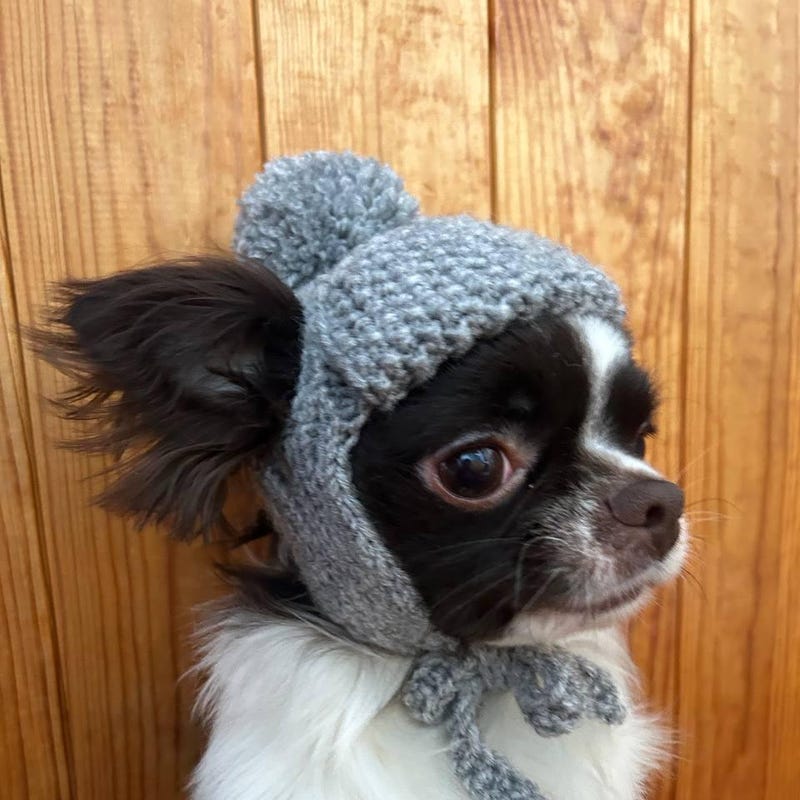 Pom Pom Beanie Puppy - Etsy UK