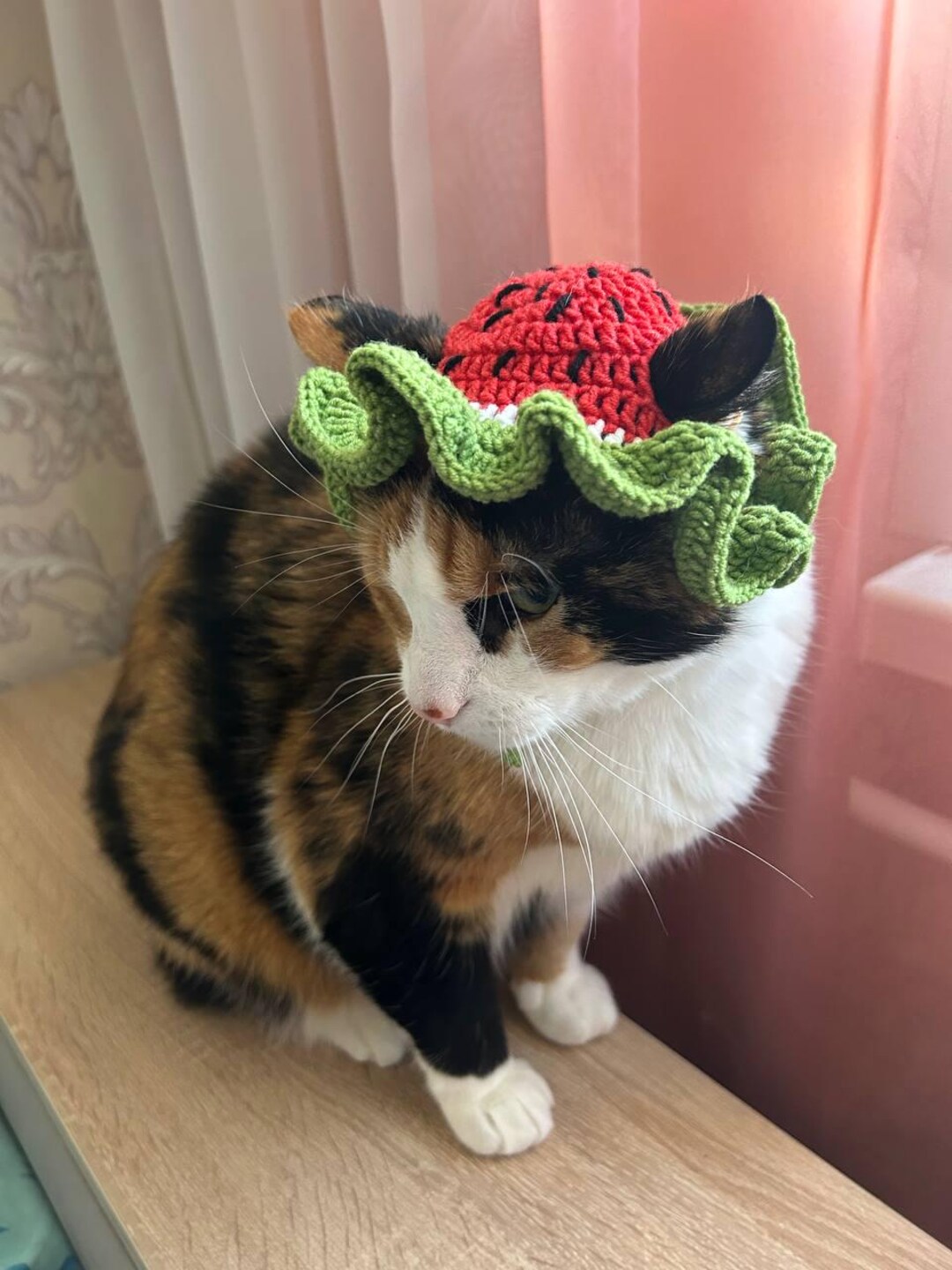 Watermelon Bucket Hat Crochet Hat for Cat or Small Dog Knit Panama for ...