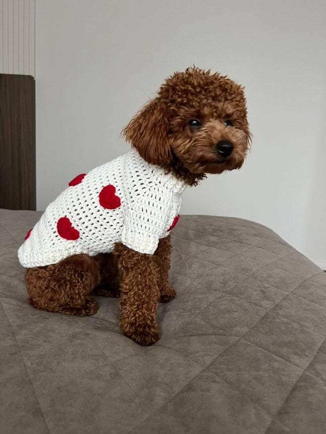 Handmade Wool Dog Sweater With Hearts – Knitted Pet Jumper for Cats and ...