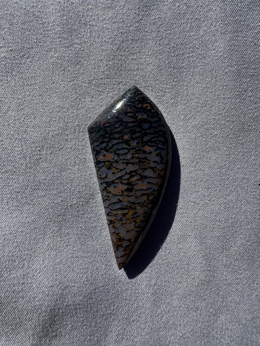 Dino Bone Cab - Etsy