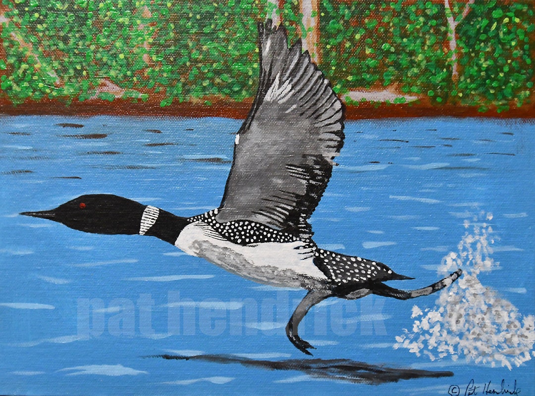 Loon Note Card Set, Loon Takes Flight Card Blank, White Envelope, Loon ...