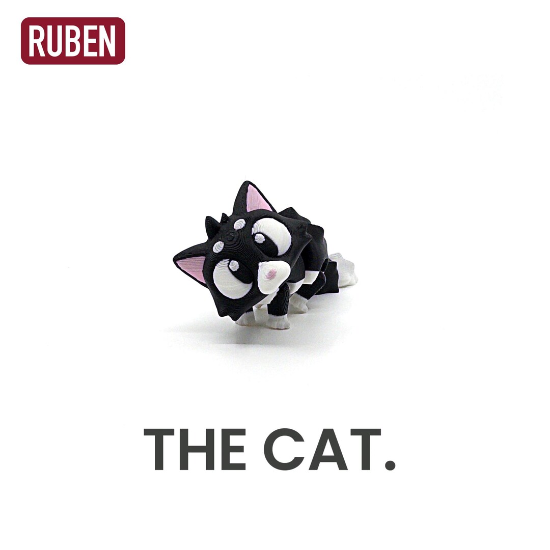 THE CAT - A 3D Printed Black and White Cat Sensory Fidget Toy With ...