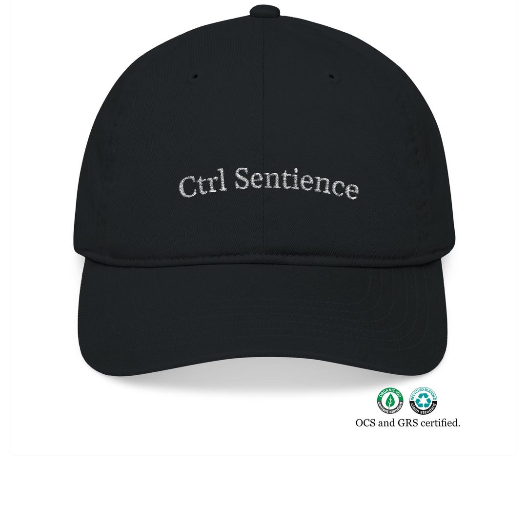 Ctrl Sentience Embroidered Dad Hat, Minimalist Design, Sustainability ...