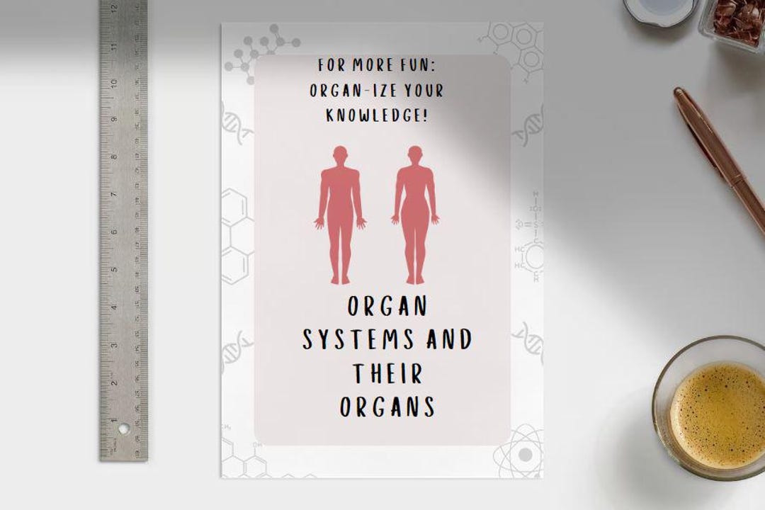 Organ Systems Play Dough Mats | Preschool Printable (PDF Pattern) - Etsy