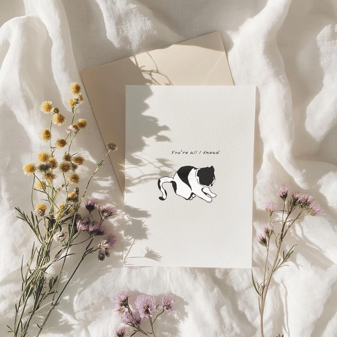 Catful Valentines Greeting Card for Girlfriend Funny Cat Gift for Best ...