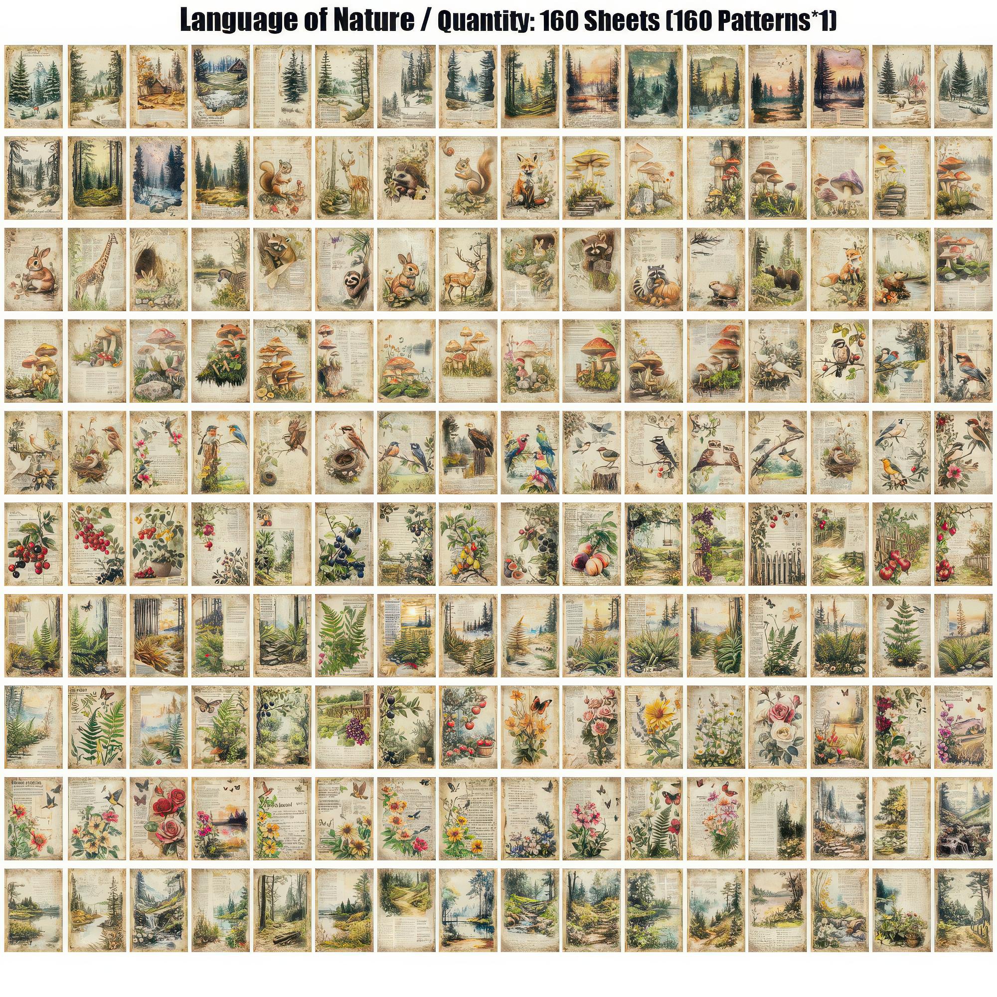 Vintage Natural Scenery Scrapbook Paper: 160 Sheets DIY Material - Etsy