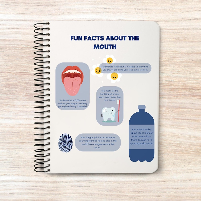 Digestive System Activity Book | Printable Worksheets | Homeschool ...