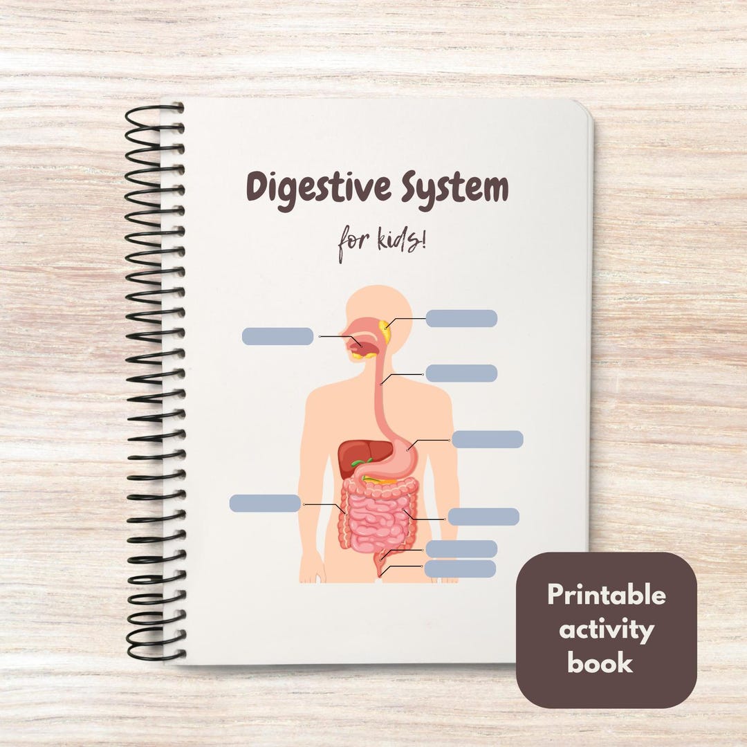 Digestive System Activity Book | Printable Worksheets | Homeschool ...