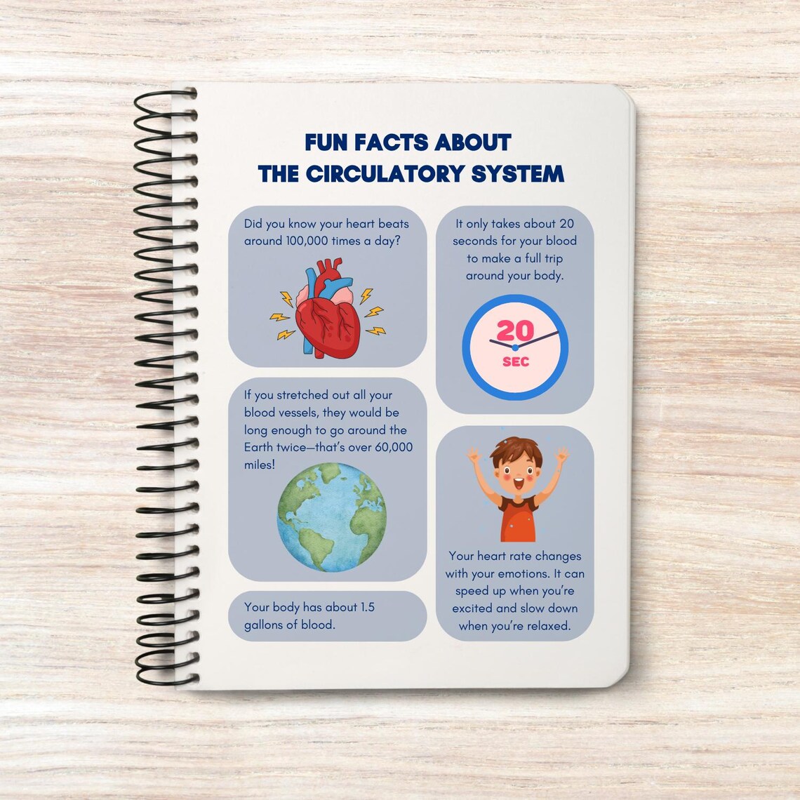 Circulatory System Activity Book | Printable Worksheets | Homeschool ...
