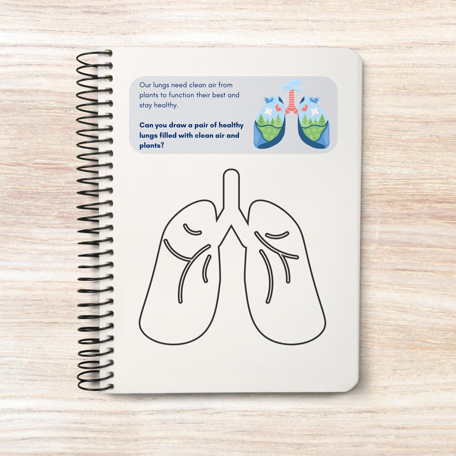 Respiratory Activity Book | Printable Worksheets | Homeschool Resources ...