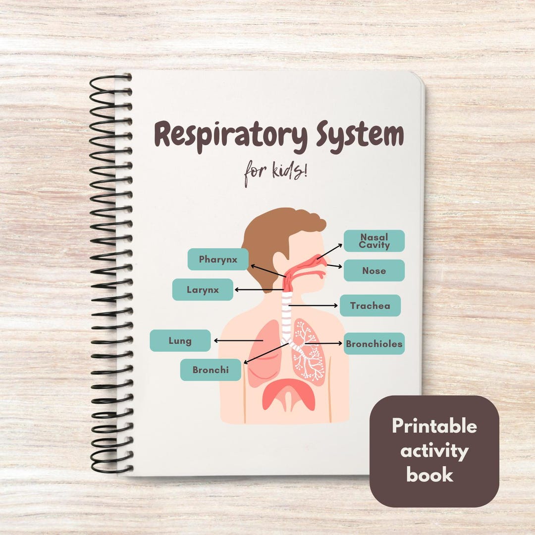 Respiratory Activity Book | Printable Worksheets | Homeschool Resources ...