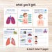 Respiratory Activity Book | Printable Worksheets | Homeschool Resources ...