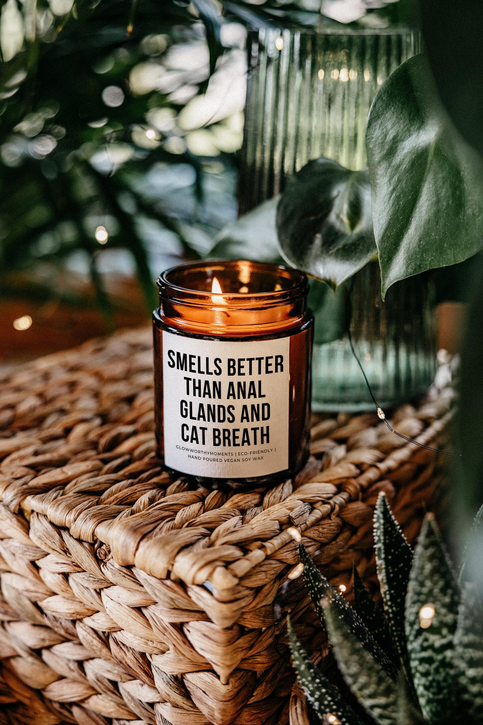 Funny Veterinarian Office Receptionist Soy Wax Candle, Vet Tech ...