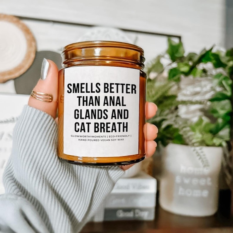 Funny Veterinarian Office Receptionist Soy Wax Candle, Vet Tech ...