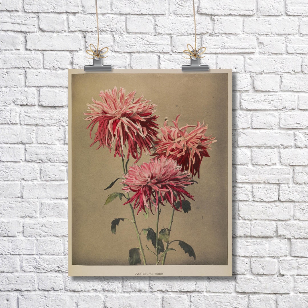 Botanical Japanese Vintage Floral Wall Art | Vintage Asa-dsuma-bune ...