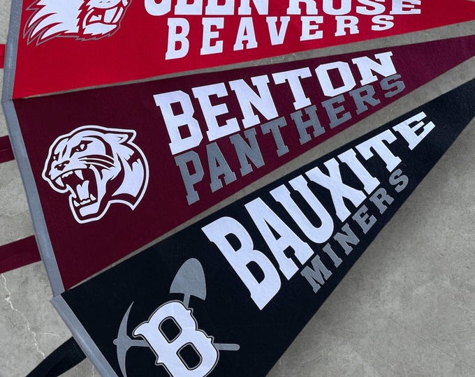 Custom College Pennant Flags | Centerpiece Pennant Flag | College Flag ...