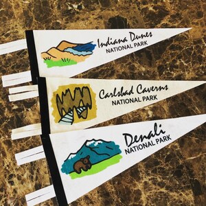 National Park Pennants - Etsy