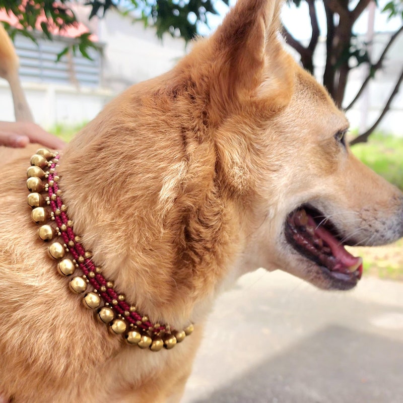 Dog Collar With Bells - Etsy