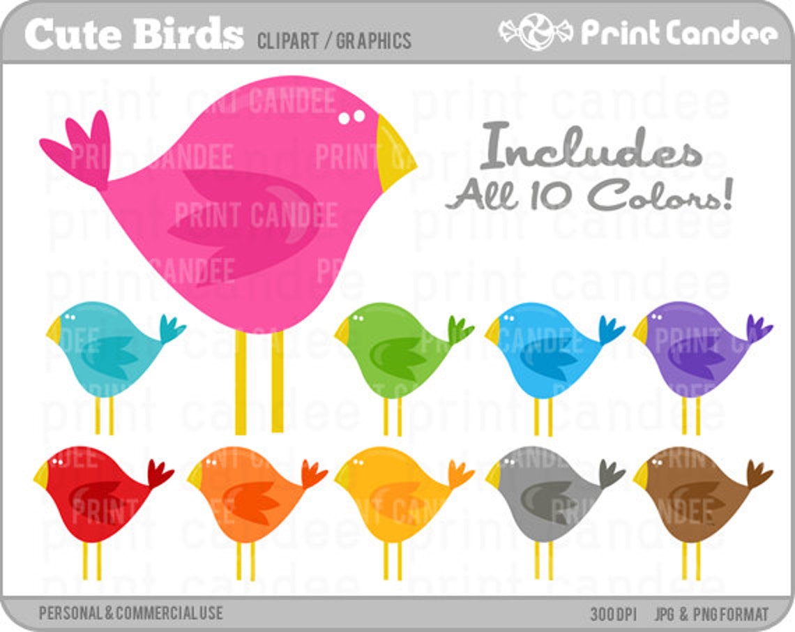 Cute Birds - Digital Clip Art - Personal and Commercial Use - Bird ...