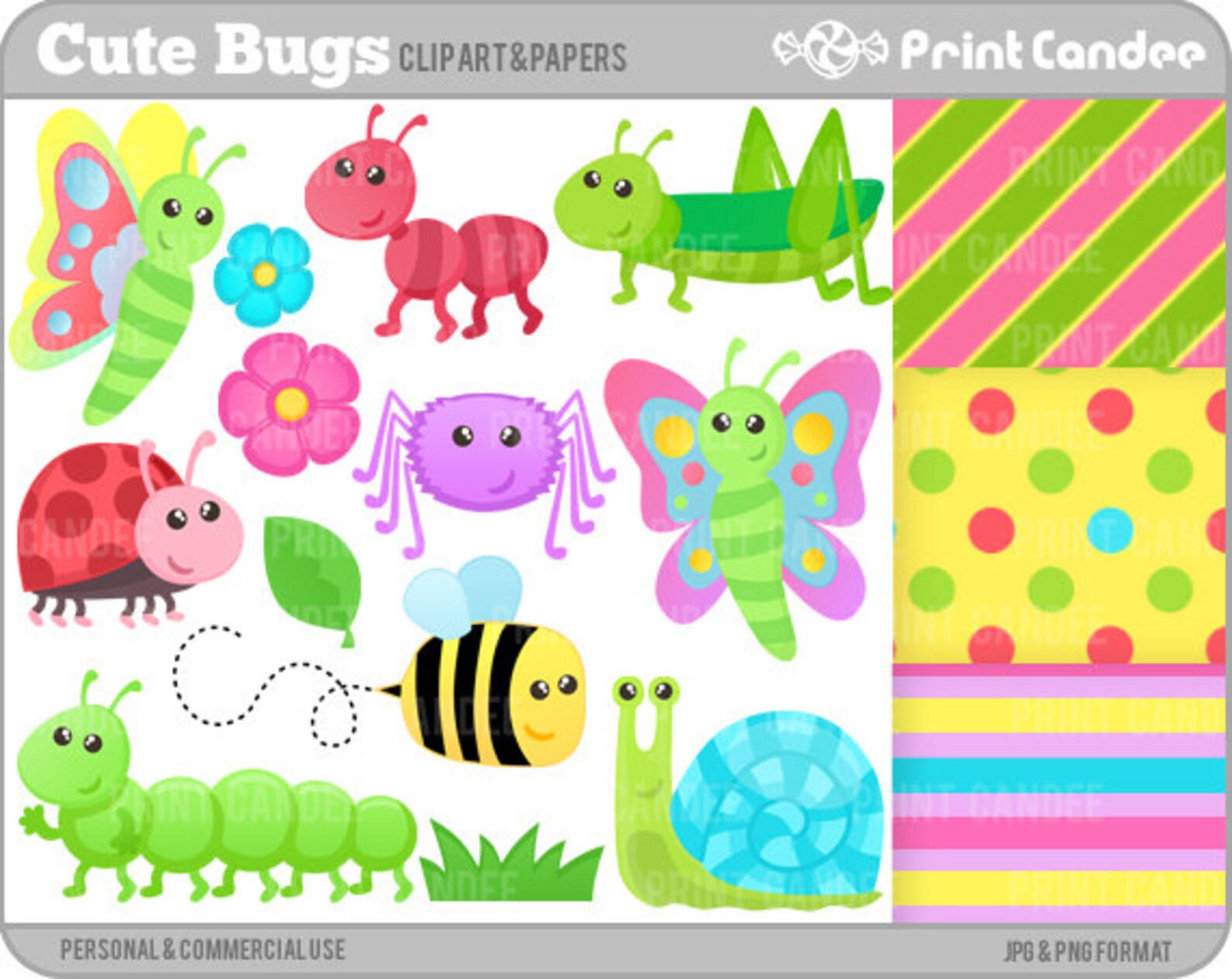 Cute Bugs - Digital Clip Art - Personal and Commercial Use - Insects ...