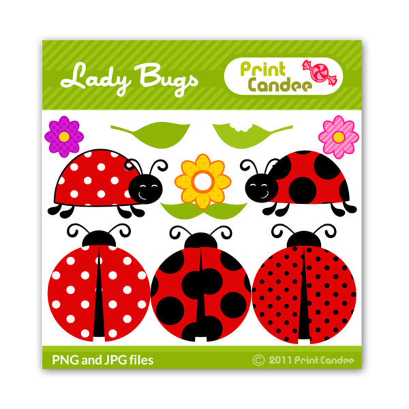 Lady Bugs - Digital Clip Art - Personal and Commercial Use - Ladybugs ...