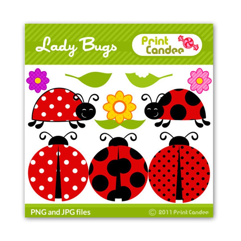 Lady Bugs - Digital Clip Art - Personal and Commercial Use - Ladybugs ...