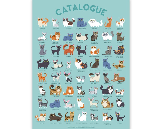 CATALOGUE Cats Poster 18x24 Inches - Etsy