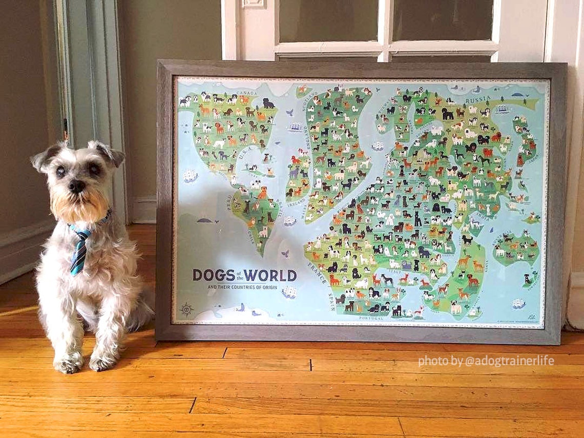 Dogs of the World Map 36x24 POSTER | Etsy Canada