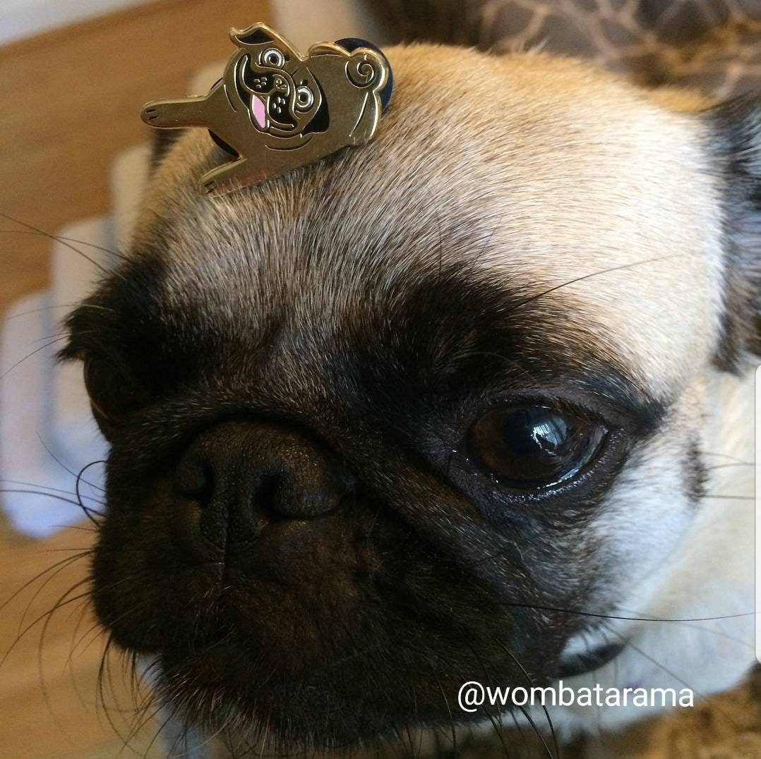Pug - Dog Pin - Etsy
