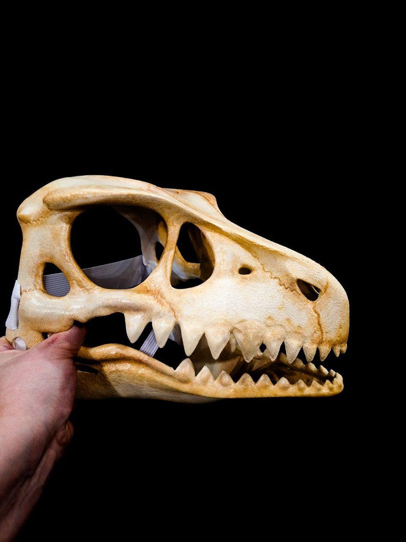 Fursuit Head Base, Furry, Skull Mask,unique Mask - Etsy