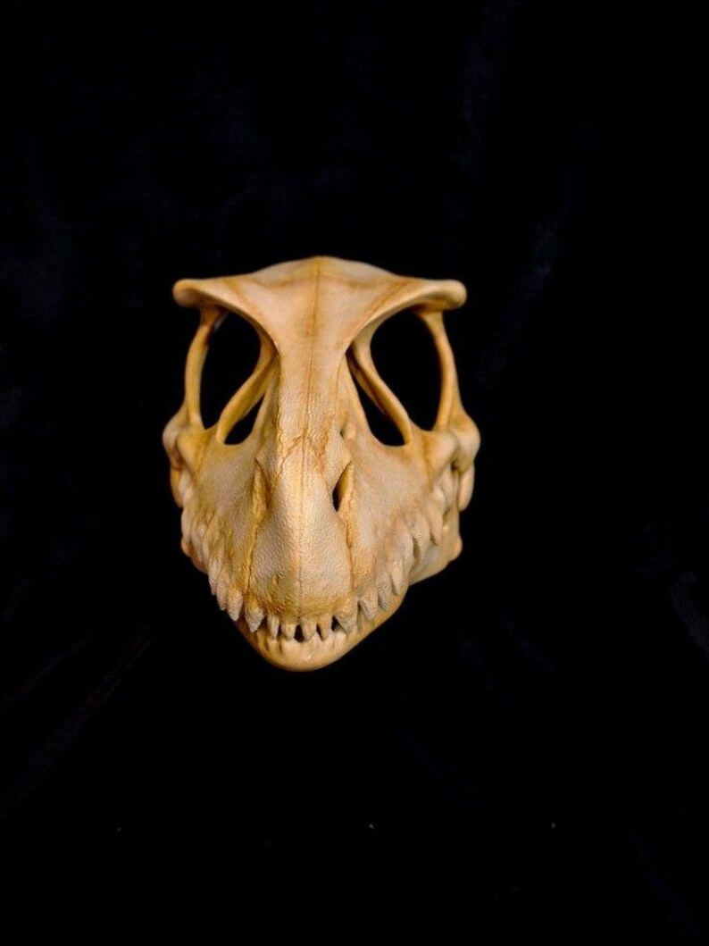 Fursuit Head Base, Furry, Skull Mask,unique Mask - Etsy