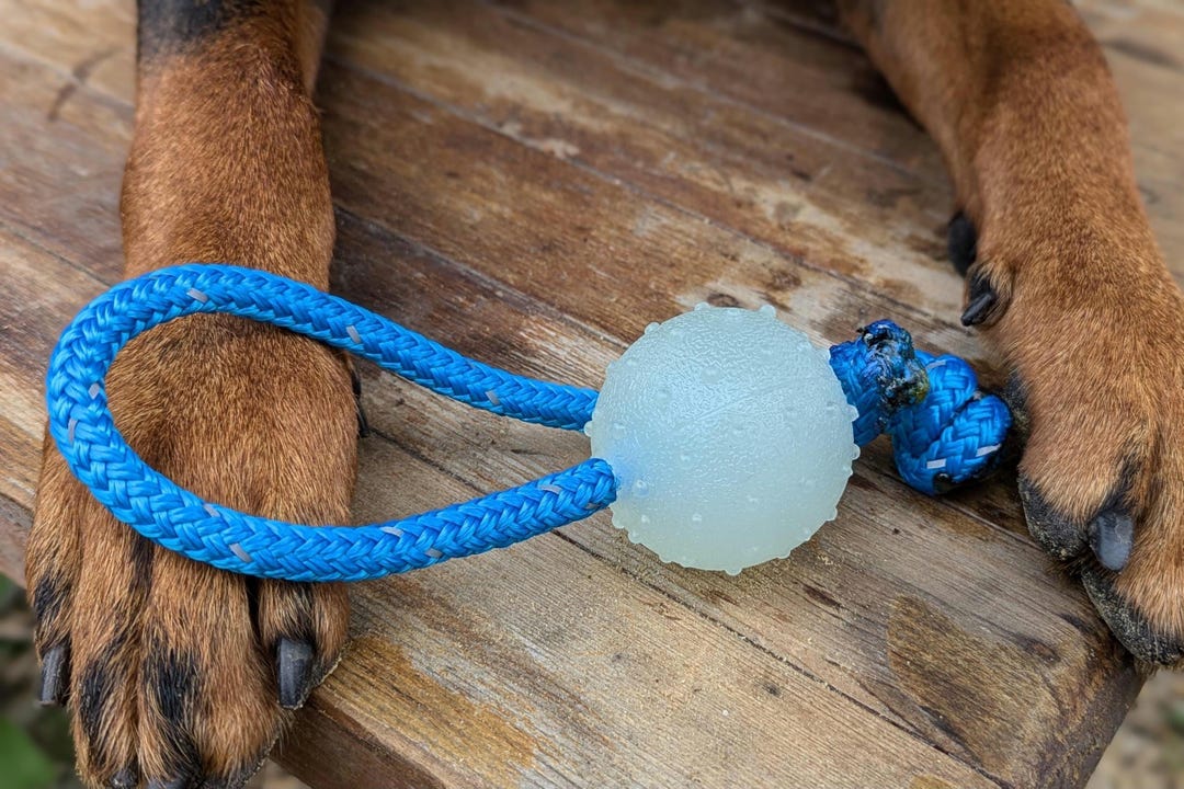 2.25" Small Rubber Glow-in-the-dark Reward Ball | Fetch Ball Tug Toy ...