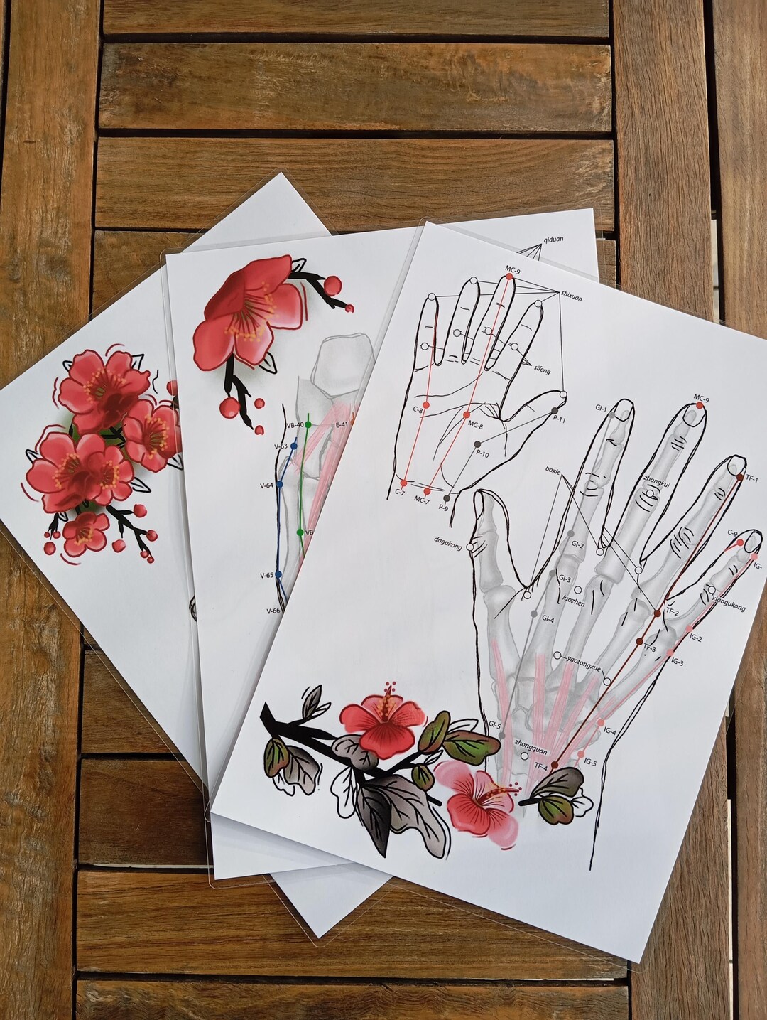 Set of 3 Laminated A4 Acupuncture Cards - Etsy