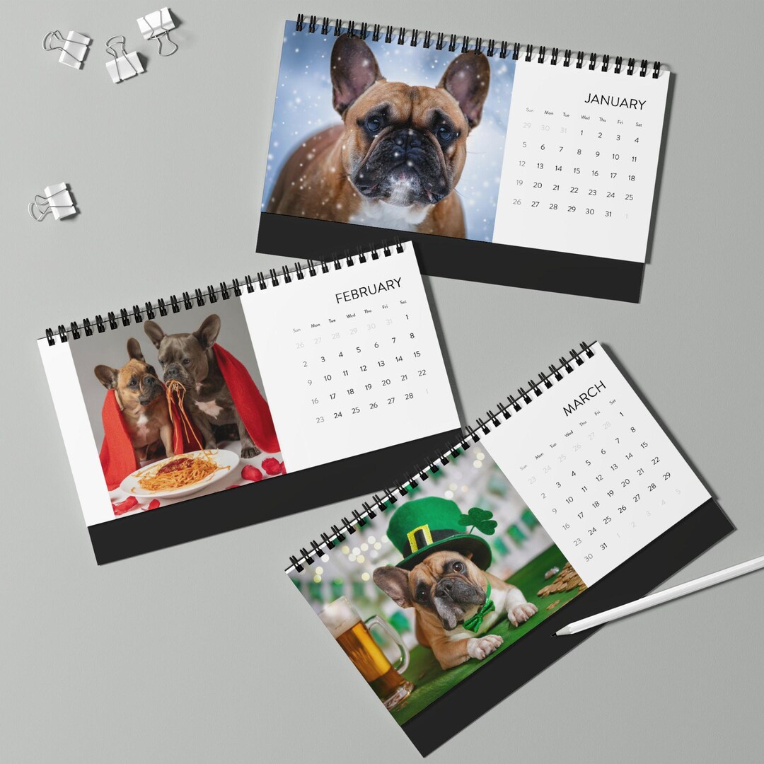 French Bulldog 2025 Desktop Calendar - Etsy