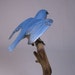 Open-winged Eastern Bluebird Wooden Carved Bird Carving - Etsy