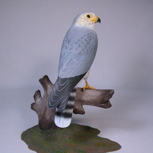 Life Size Merlin Wooden Carved Bird Carving - Etsy