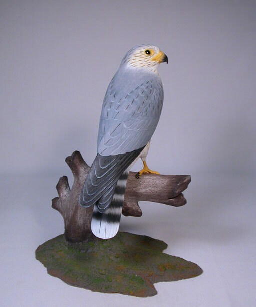 Life Size Merlin Wooden Carved Bird Carving - Etsy