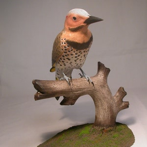 Northern Flicker Hand Carved and Hand Painted Wooden Bird Carving - Etsy