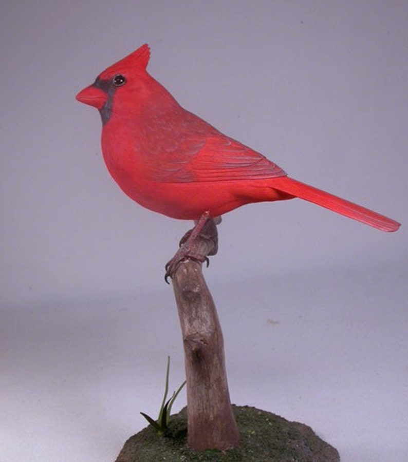 Male Northern Cardinal Hand Carved Wooden Bird on Wooden Branch - Etsy